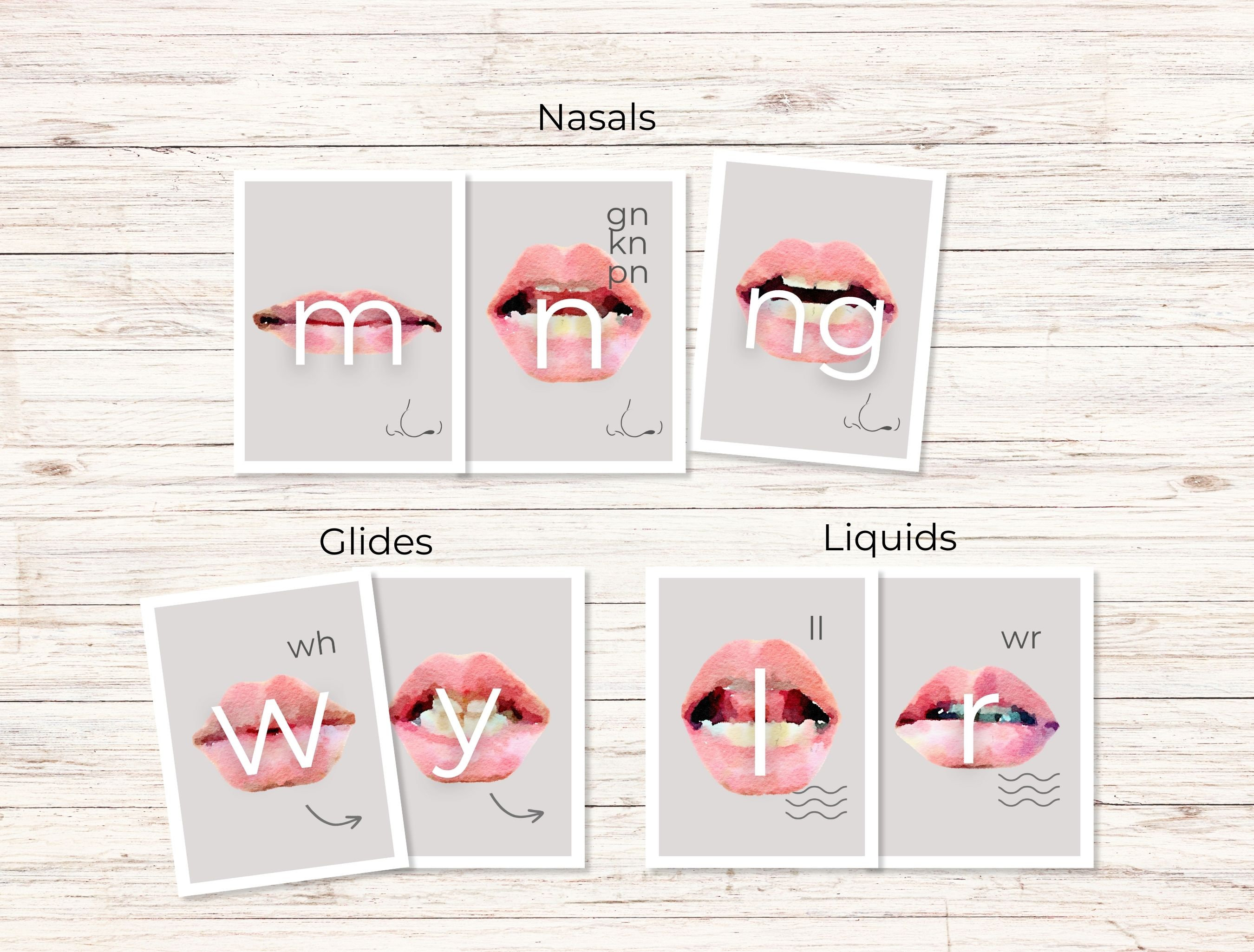 Phonics Consonant Flashcard Speech Sound Wall Printable Flashcards ...