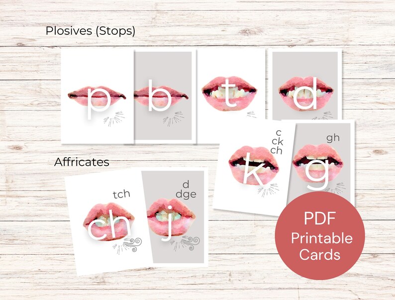 Phonics Consonant Flashcard Speech Sound Wall Printable Flashcards ...