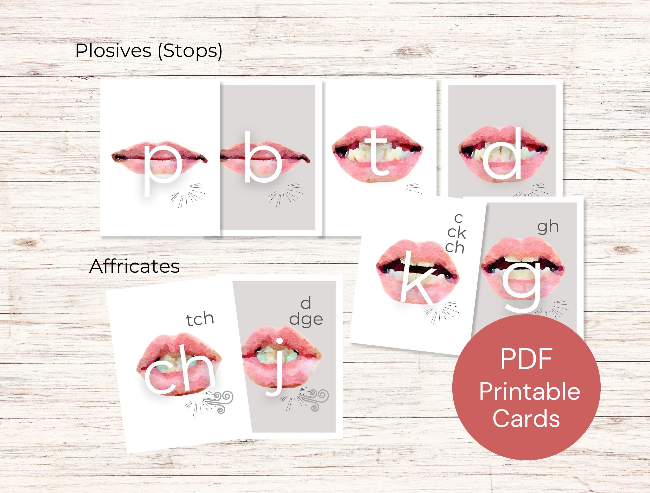 Phonics Consonant Flashcard Speech Sound Wall Printable Flashcards ...