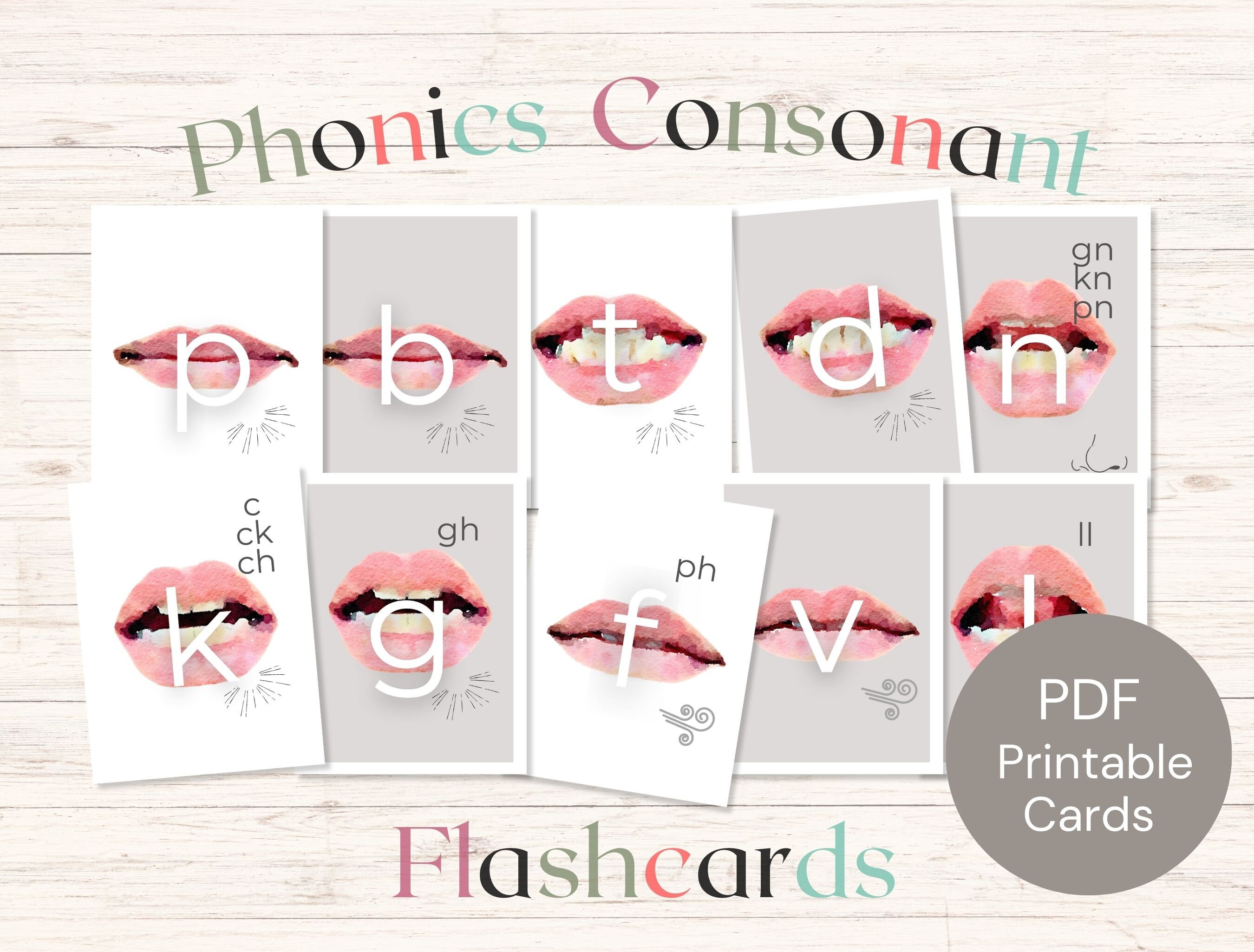 Phonics Consonant Flashcard Speech Sound Wall Printable Flashcards ...