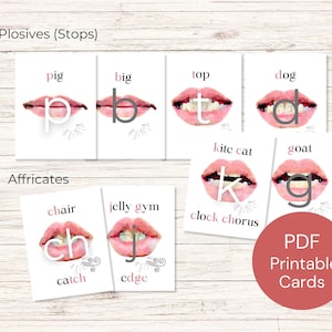 Phonics Consonant Flashcard Speech Sound Wall Printable Flashcards ...