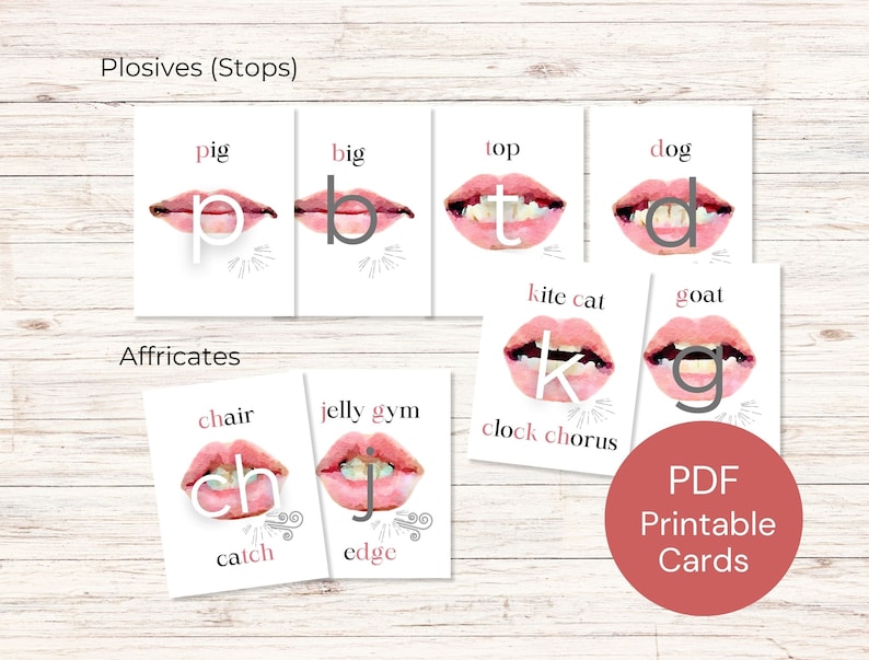 Phonics Consonant Flashcard Speech Sound Wall Printable Flashcards ...