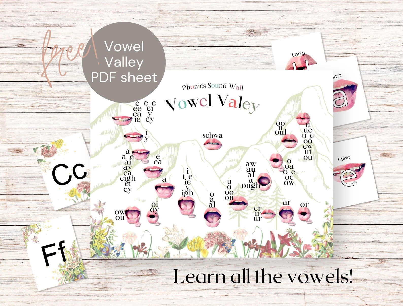 Phonics Vowel Flashcard Speech Sound Wall Printable Flashcard Mouth ...