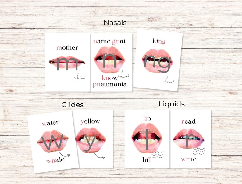 Phonics Consonant Flashcard Speech Sound Wall Printable Flashcards ...