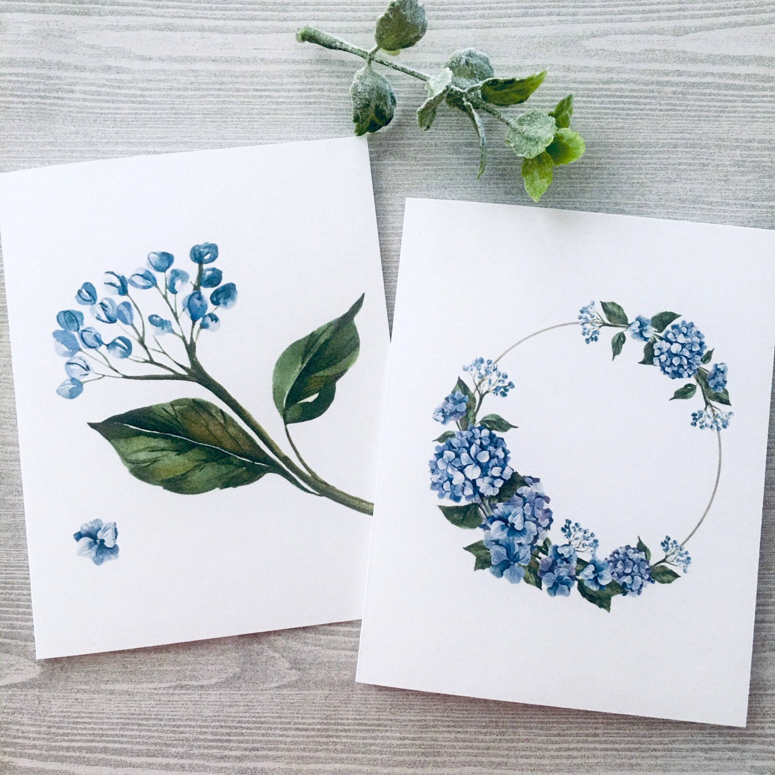 8ct Hydrangeas Card Set Watercolor Hydrangea Cards Blank - Etsy