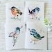 8ct Watercolor Birds Card Assortment, Splash Birds, Watercolor Note ...