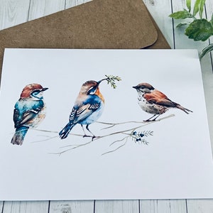 Watercolor Birds Cards Note Cards, Bird Cards, Watercolor Note Cards ...