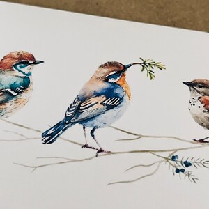 Watercolor Birds Cards Note Cards, Bird Cards, Watercolor Note Cards ...