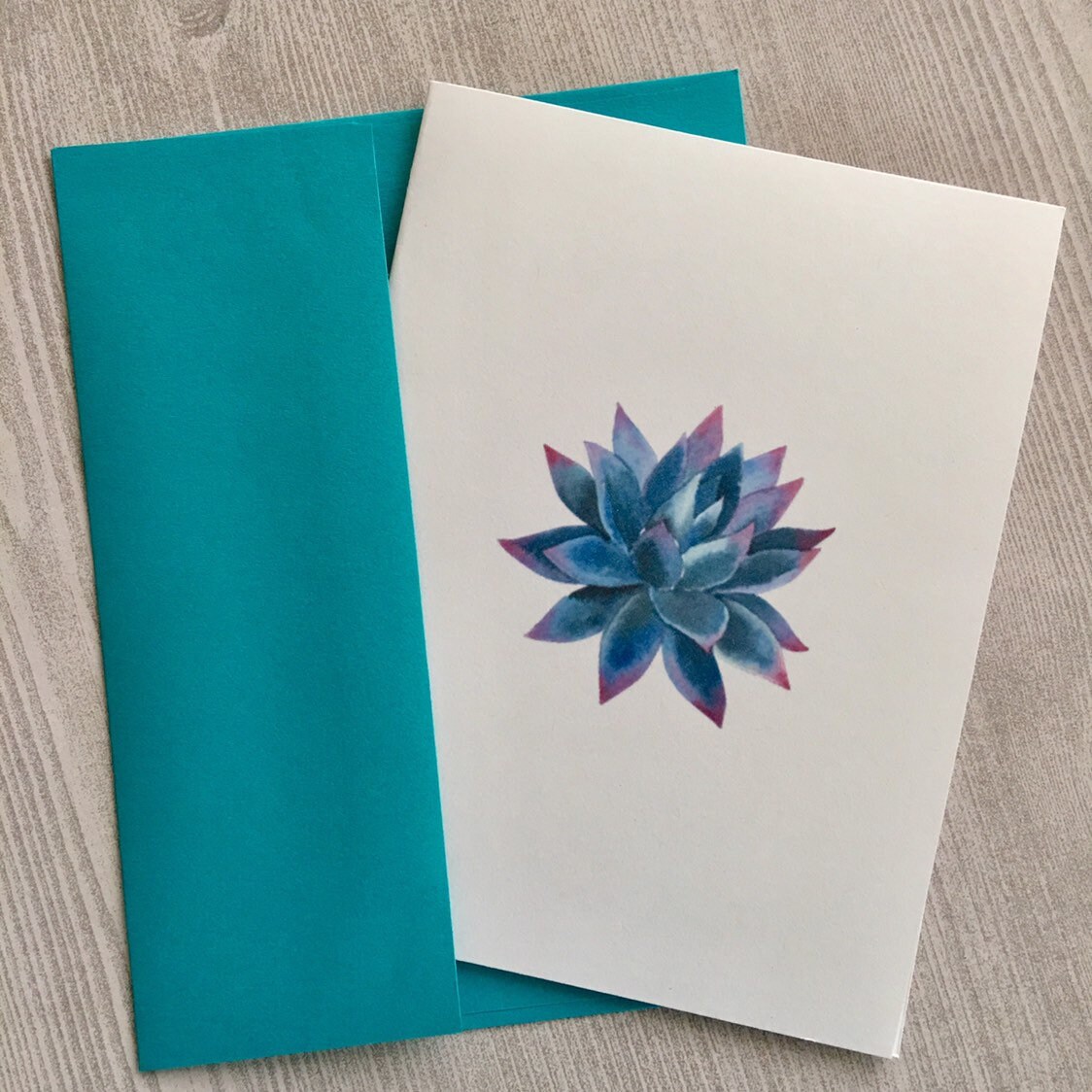 8ct Succulent Card Set, Folded Note Cards, Blank Cards, Succulent Cards ...