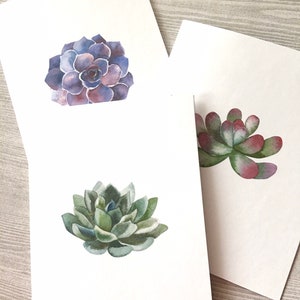 Succulent Card Set 2, Folded Note Cards, Blank Cards, Succulent Cards ...