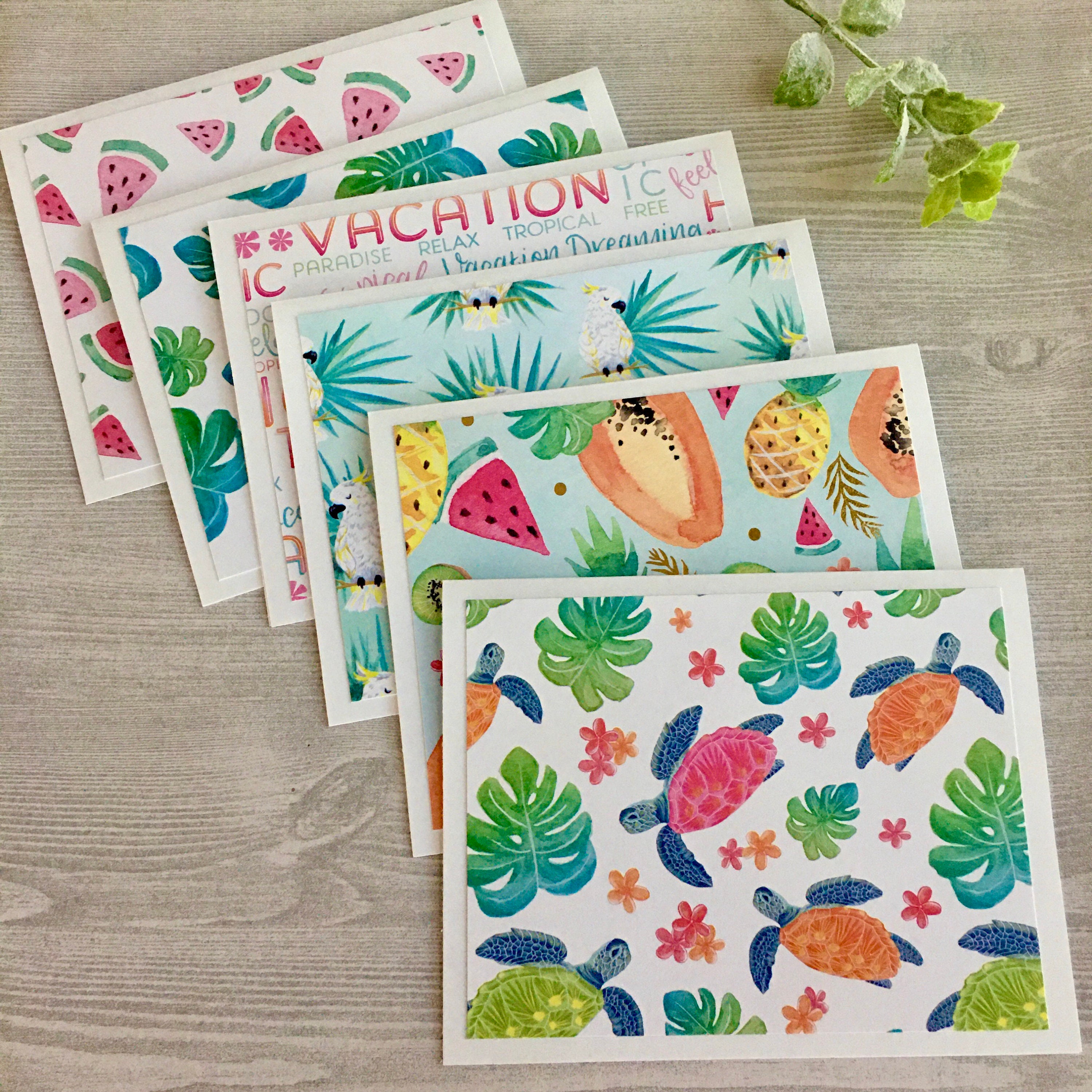 6ct Summer Note Cards Assorted Cards Tropical Note Card Set - Etsy
