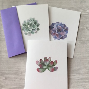 Succulent Card Set 2, Folded Note Cards, Blank Cards, Succulent Cards ...