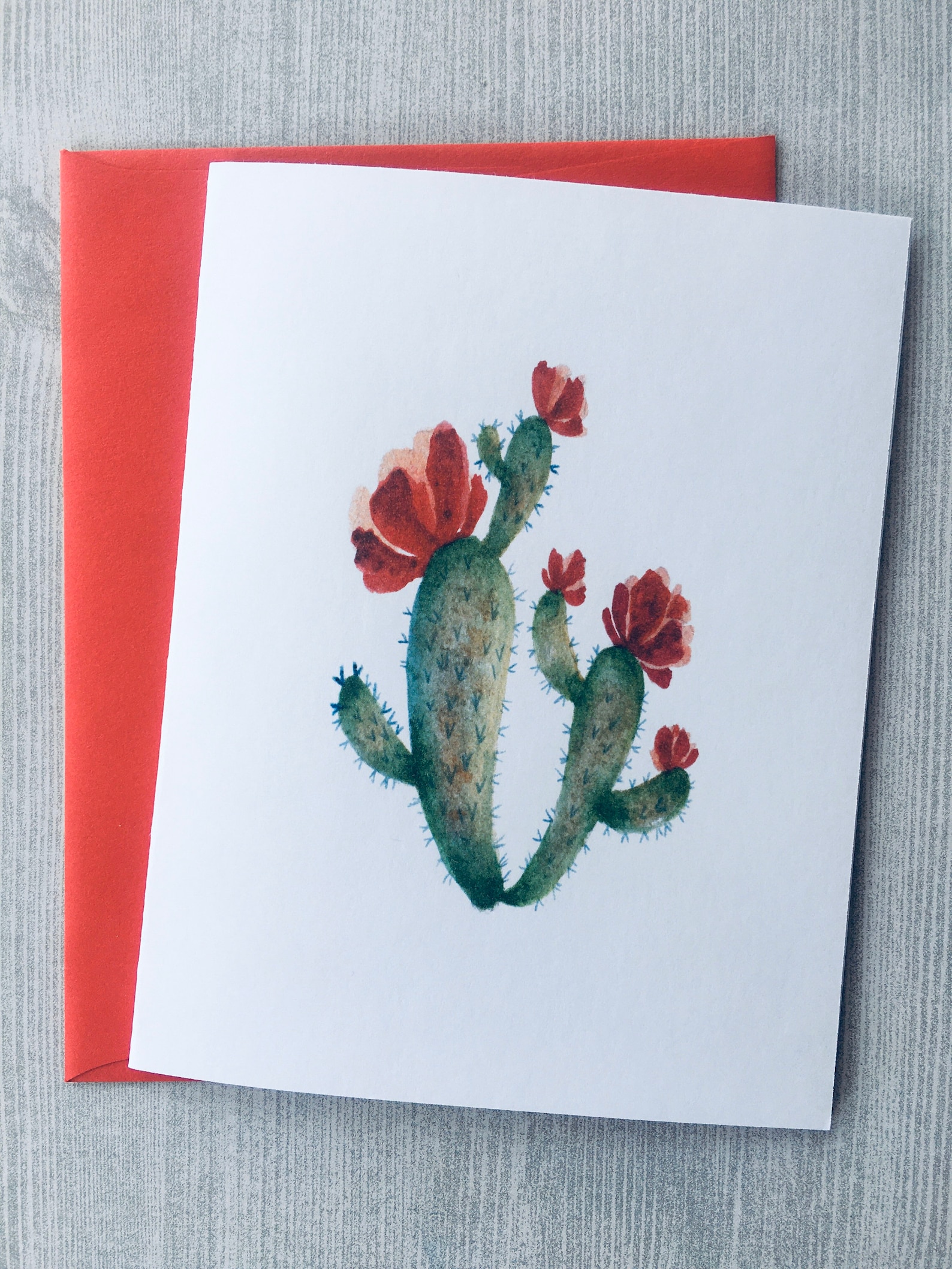8ct Cactus Card Set, Folded Note Cards, Blank Cards, Blooming Cactus ...
