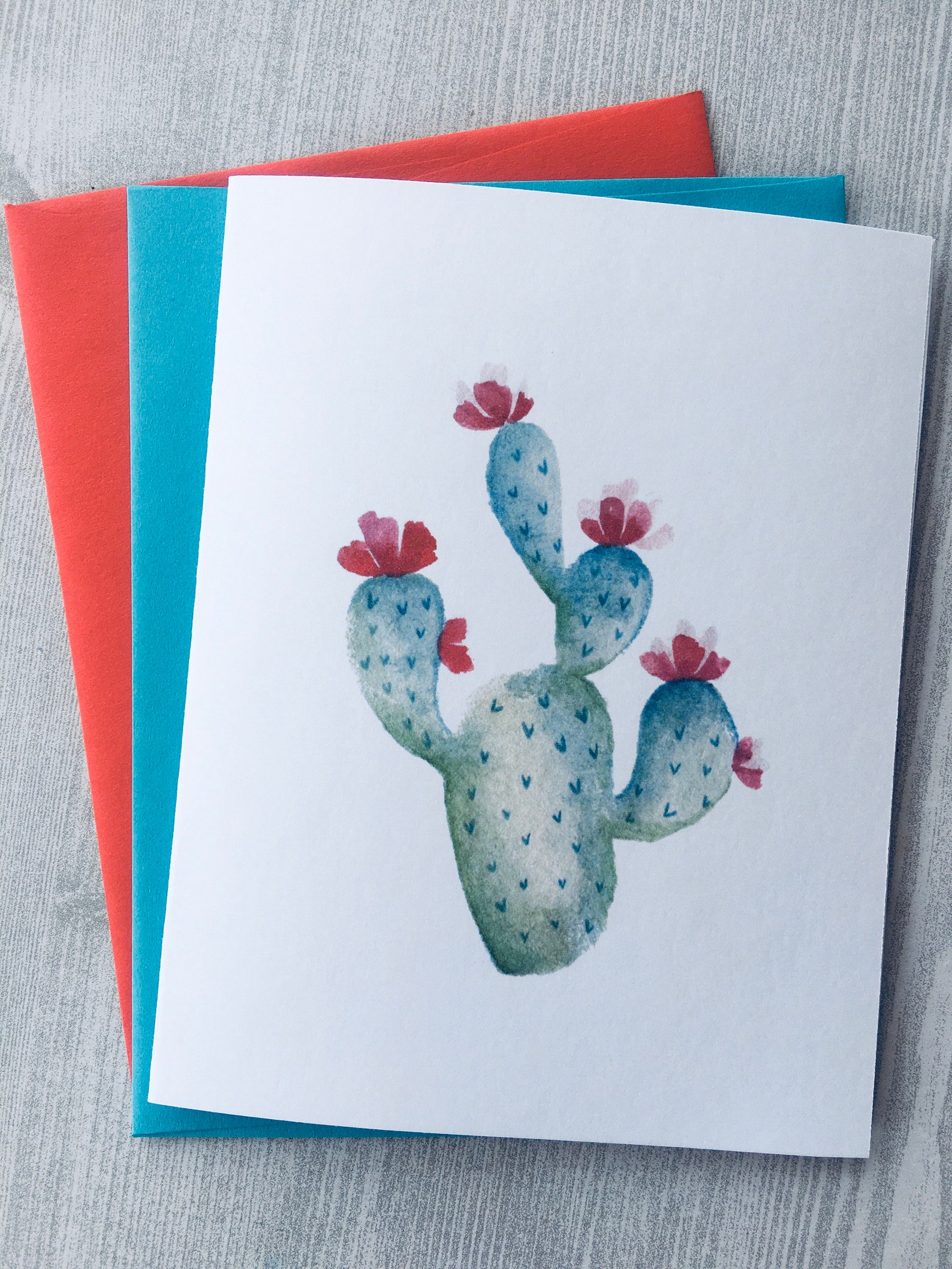 8ct Cactus Card Set, Folded Note Cards, Blank Cards, Blooming Cactus ...