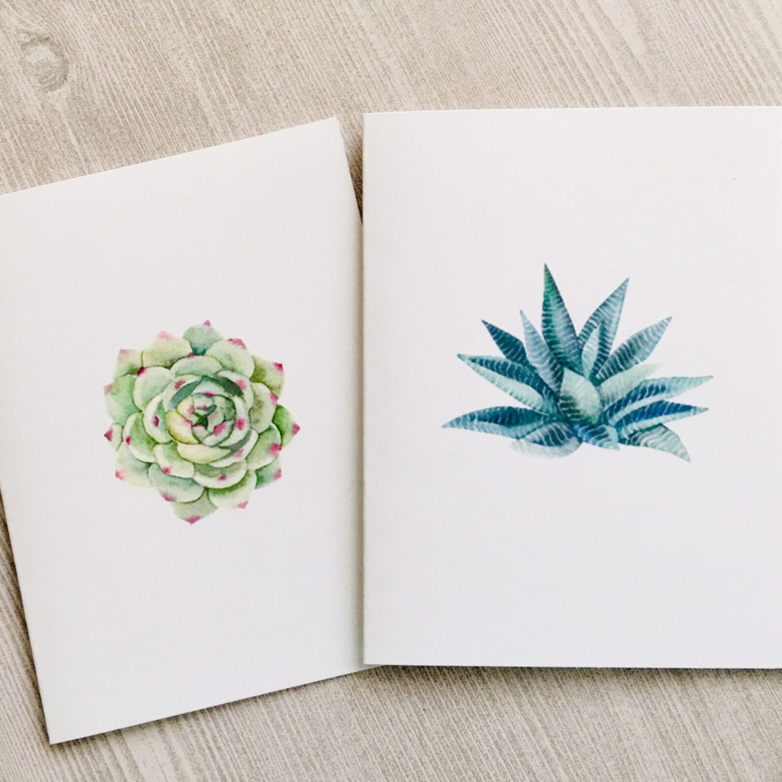 8ct Succulent Card Set, Folded Note Cards, Blank Cards, Succulent Cards ...