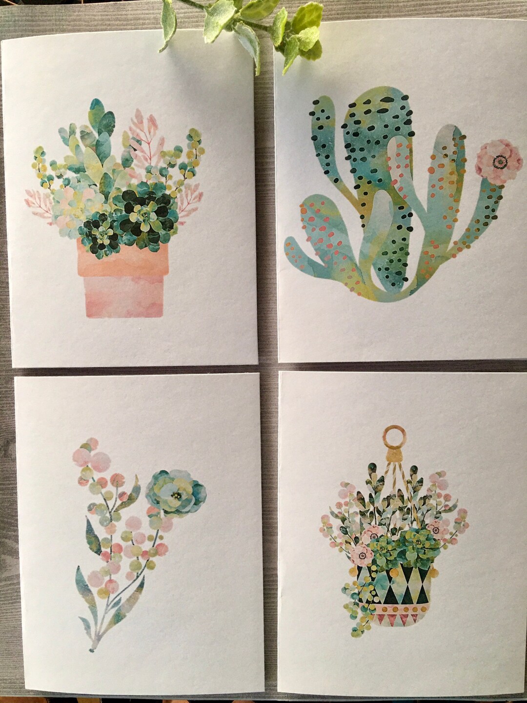 8ct Succulent Card Set, Folded Note Cards, Blank Cards, Succulent Cards ...