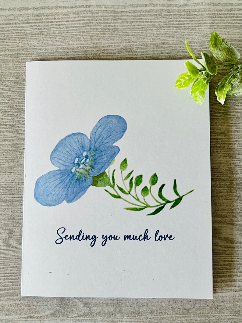 6ct Watercolor Encouragement Cards, Wildflowers Card Assortment, SET9 ...