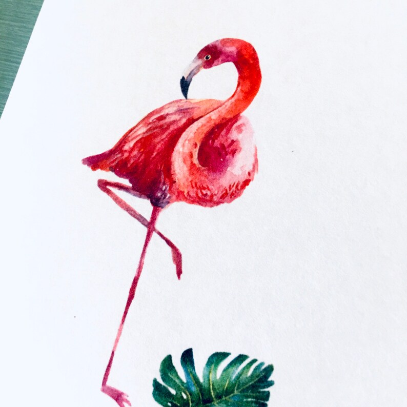 8ct Flamingo Note Card Set Watercolor Cards Flamingo Card - Etsy