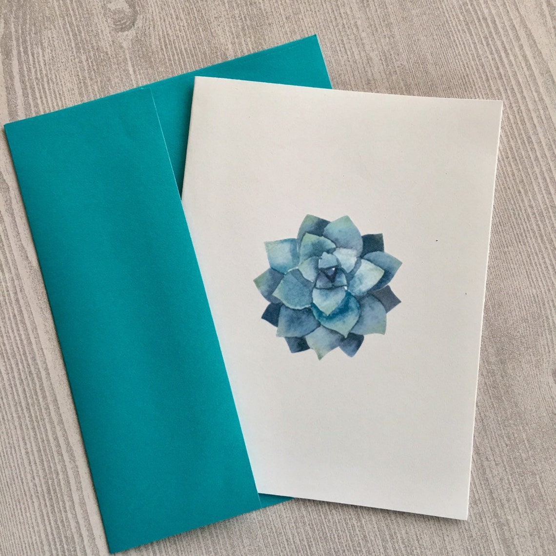 8ct Succulent Card Set Folded Note Cards Blank Cards | Etsy