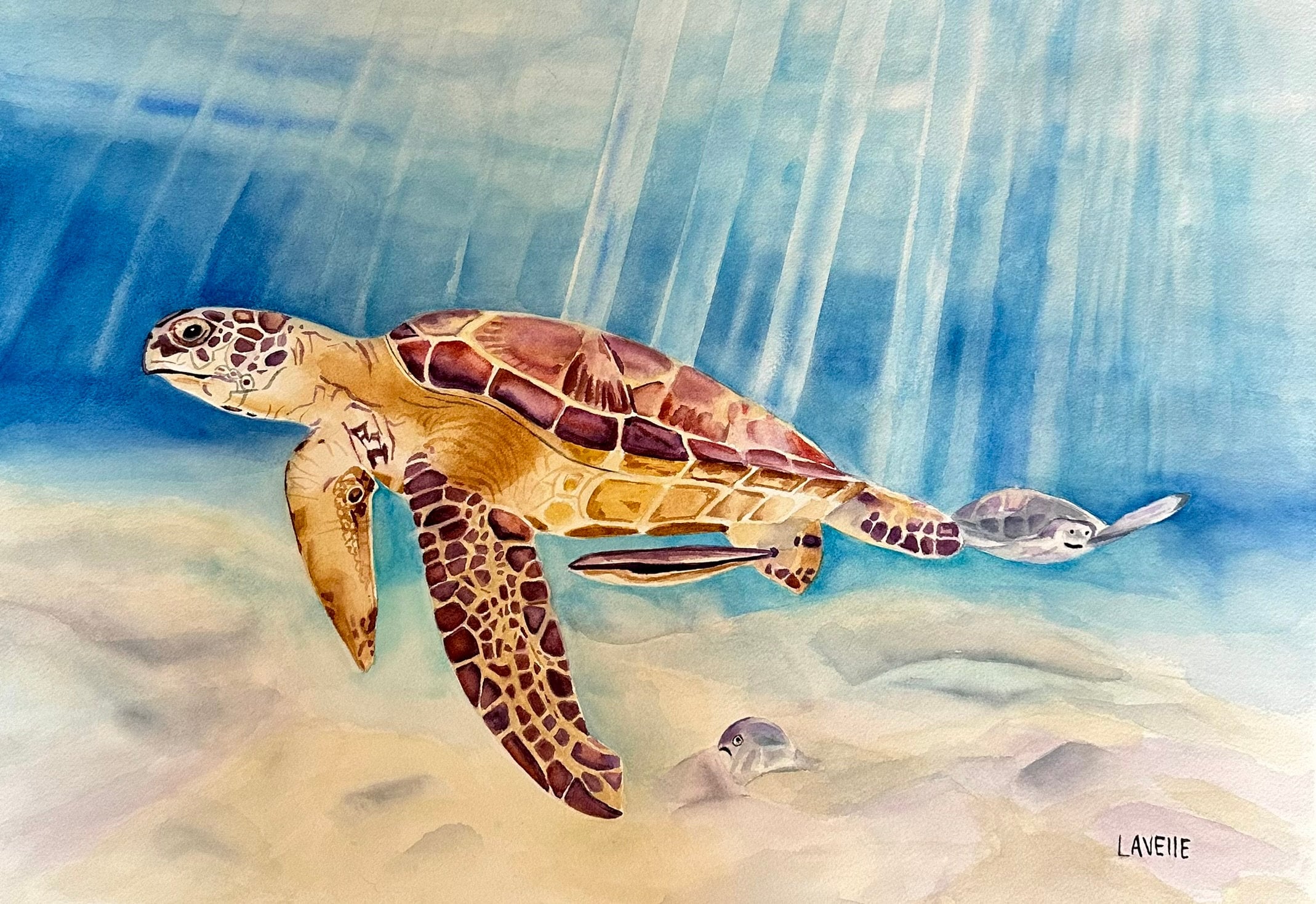 Original Sea Turtle Watercolor Painting - Etsy