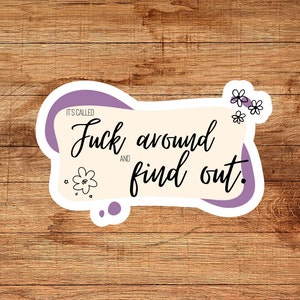 Fck Around and Find Out Vinyl Sticker - Etsy