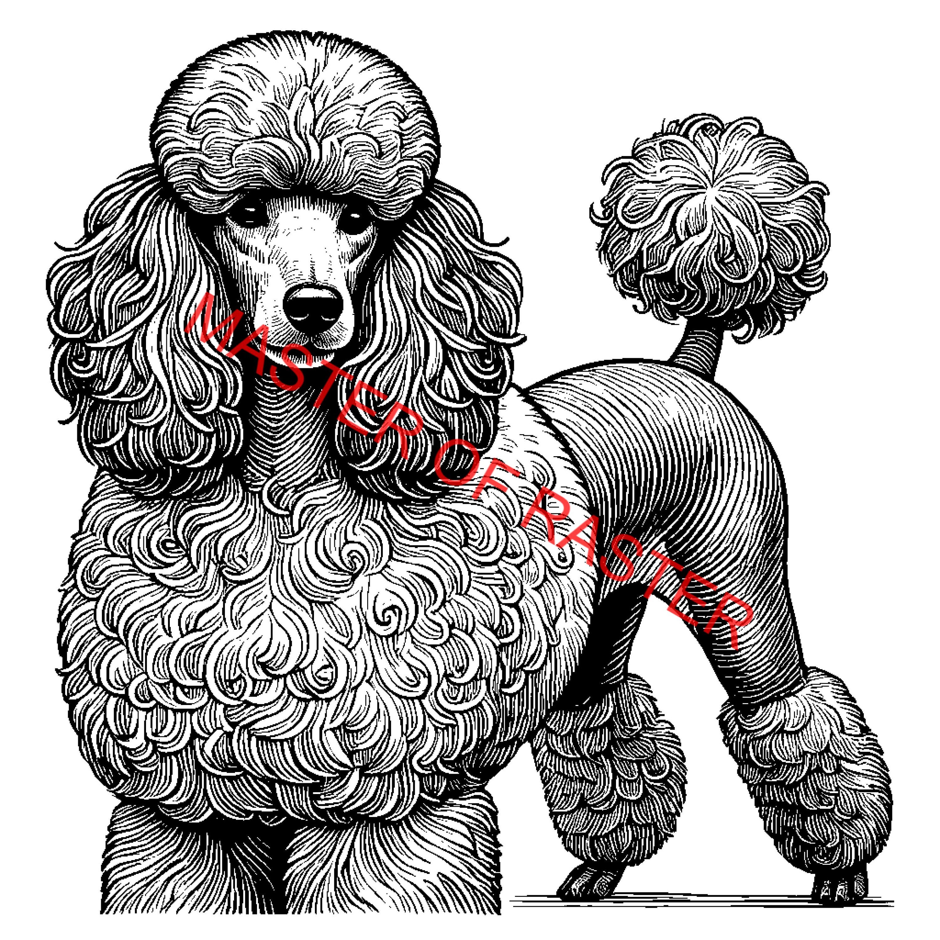 Standard Poodle SVG Line Art Collection: Volume 1 - Laser Engraving ...