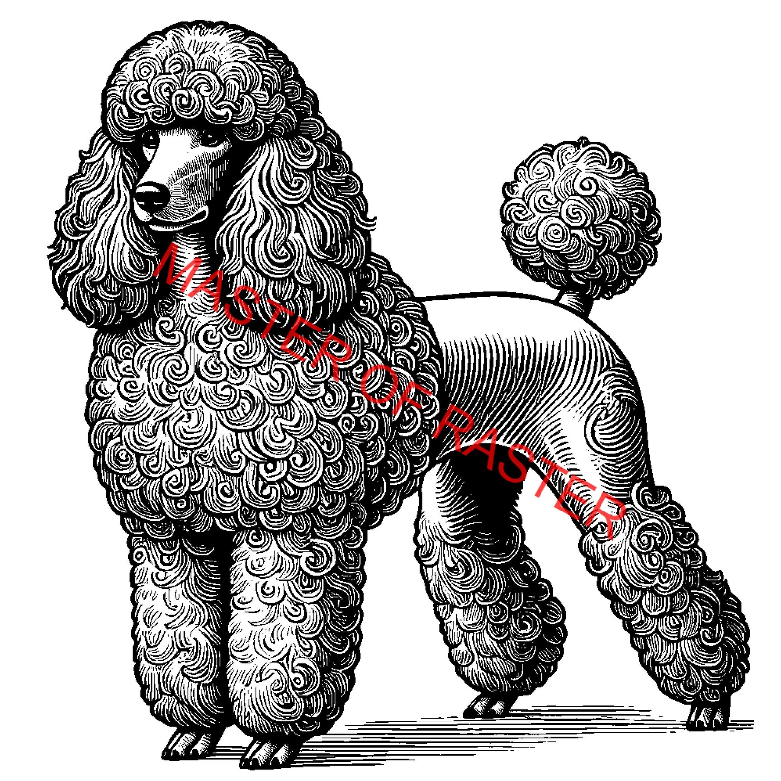 Standard Poodle SVG Line Art Collection: Volume 1 - Laser Engraving ...