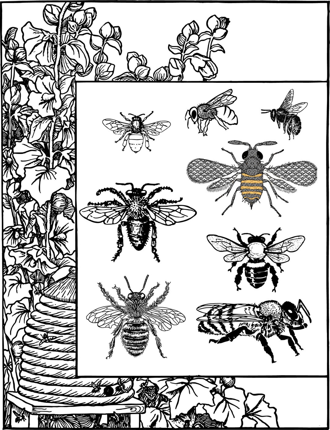 20+ Bee / Honey Bee Themed SVG Vector Digital Image Files for Laser ...