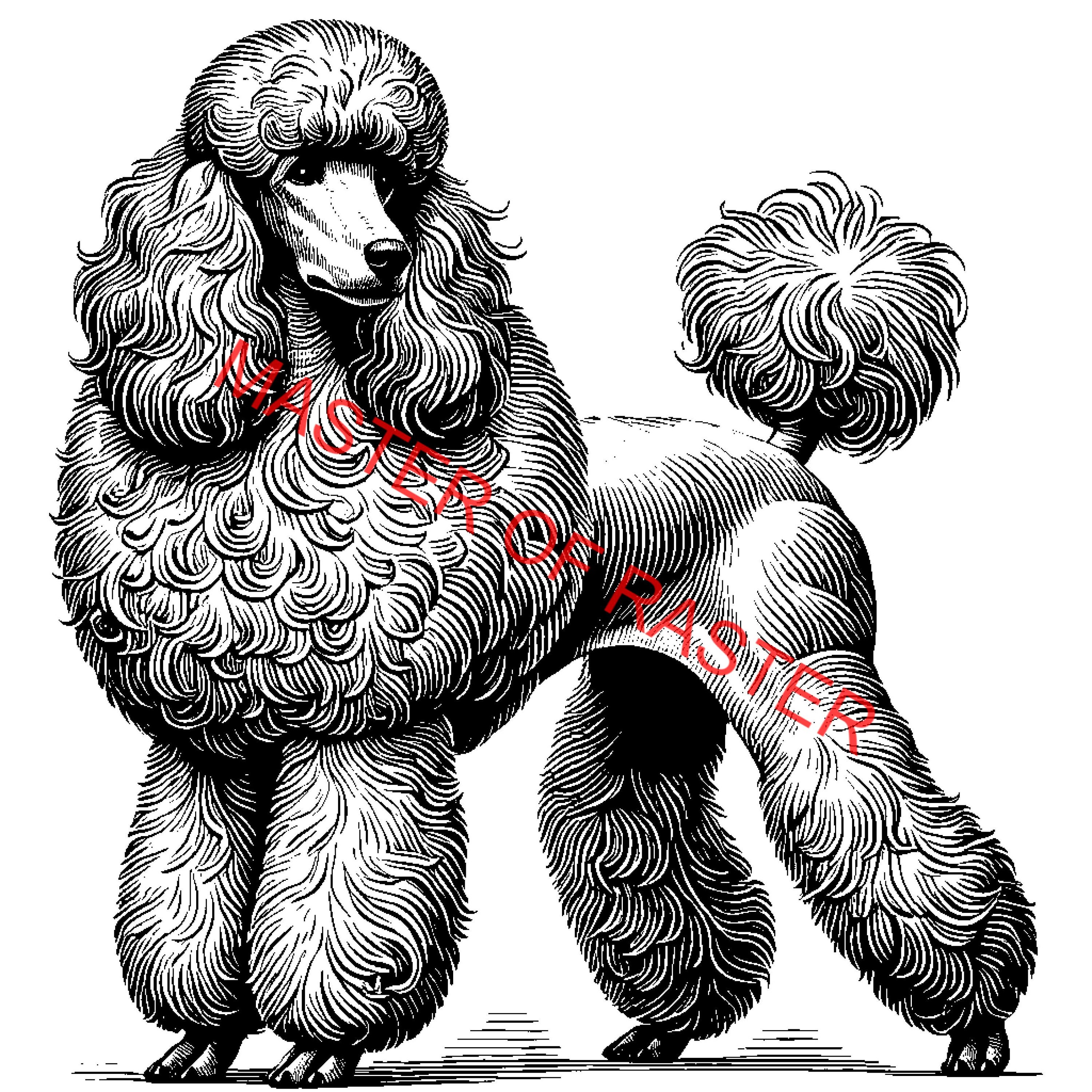 Standard Poodle SVG Line Art Collection: Volume 1 - Laser Engraving ...