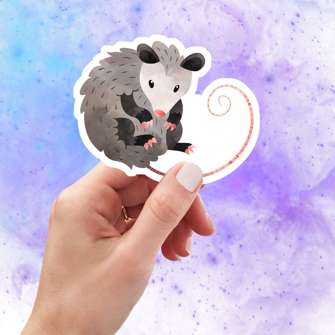 Possum Sticker, Cute Watercolor Possum Laptop Sticker, Kindle Sticker ...
