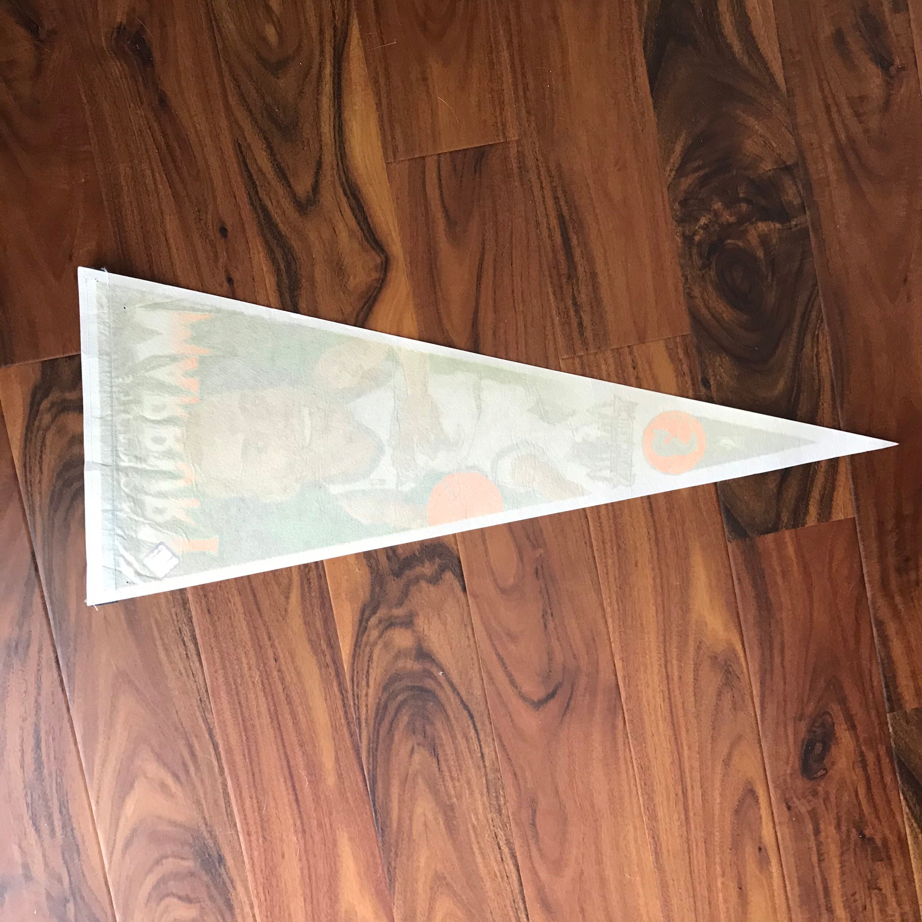 Vintage Stephon Marbury Pennant Minnesota Timberwolves | Etsy