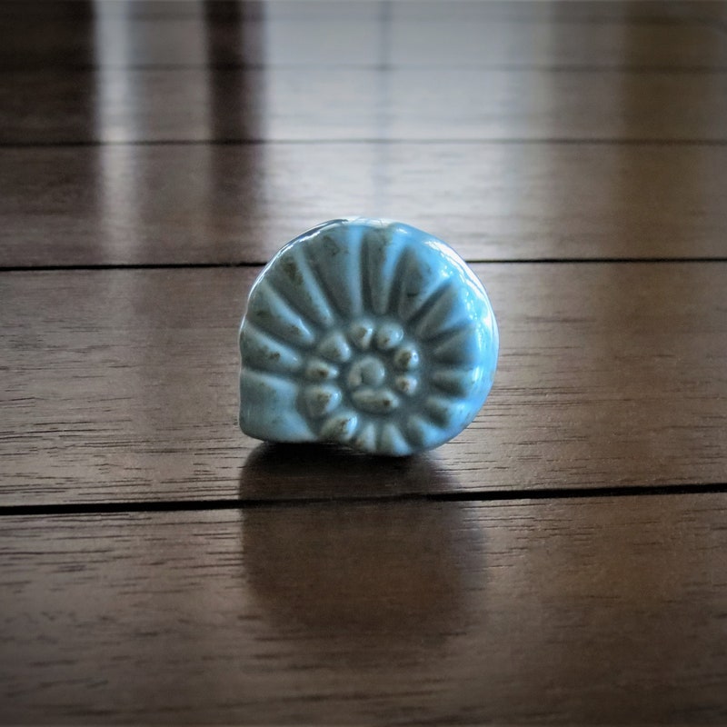 Shell Knob - Etsy