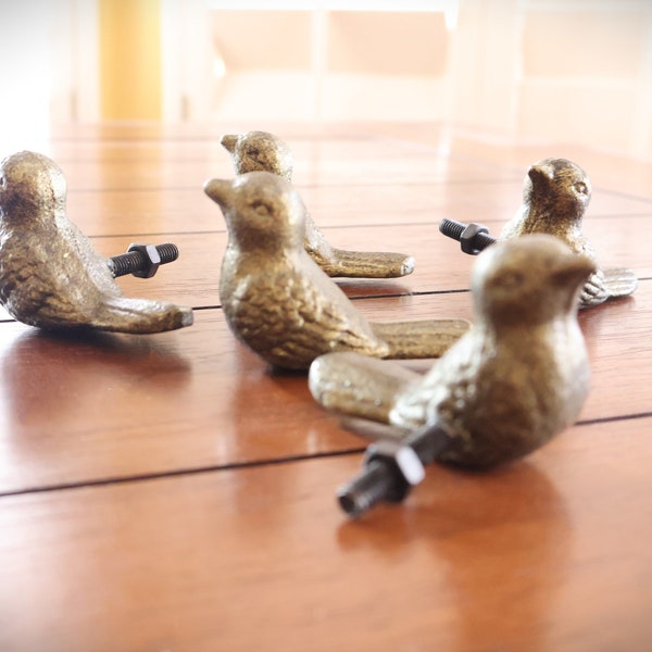 Bird Door Knobs - Etsy