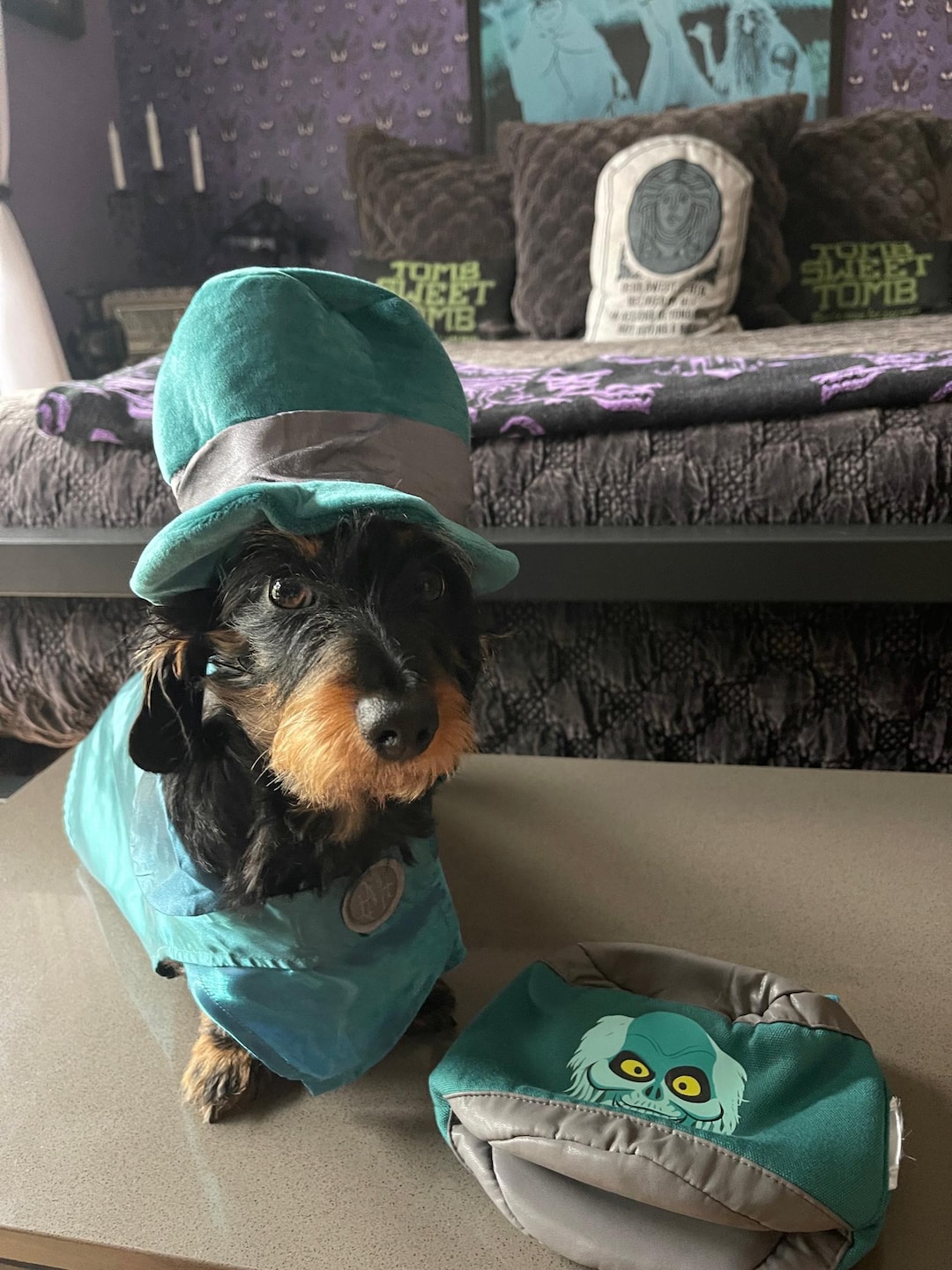 Disney Parks 4 Piece Disney Tails Haunted Mansion Hatbox Ghost Dog ...