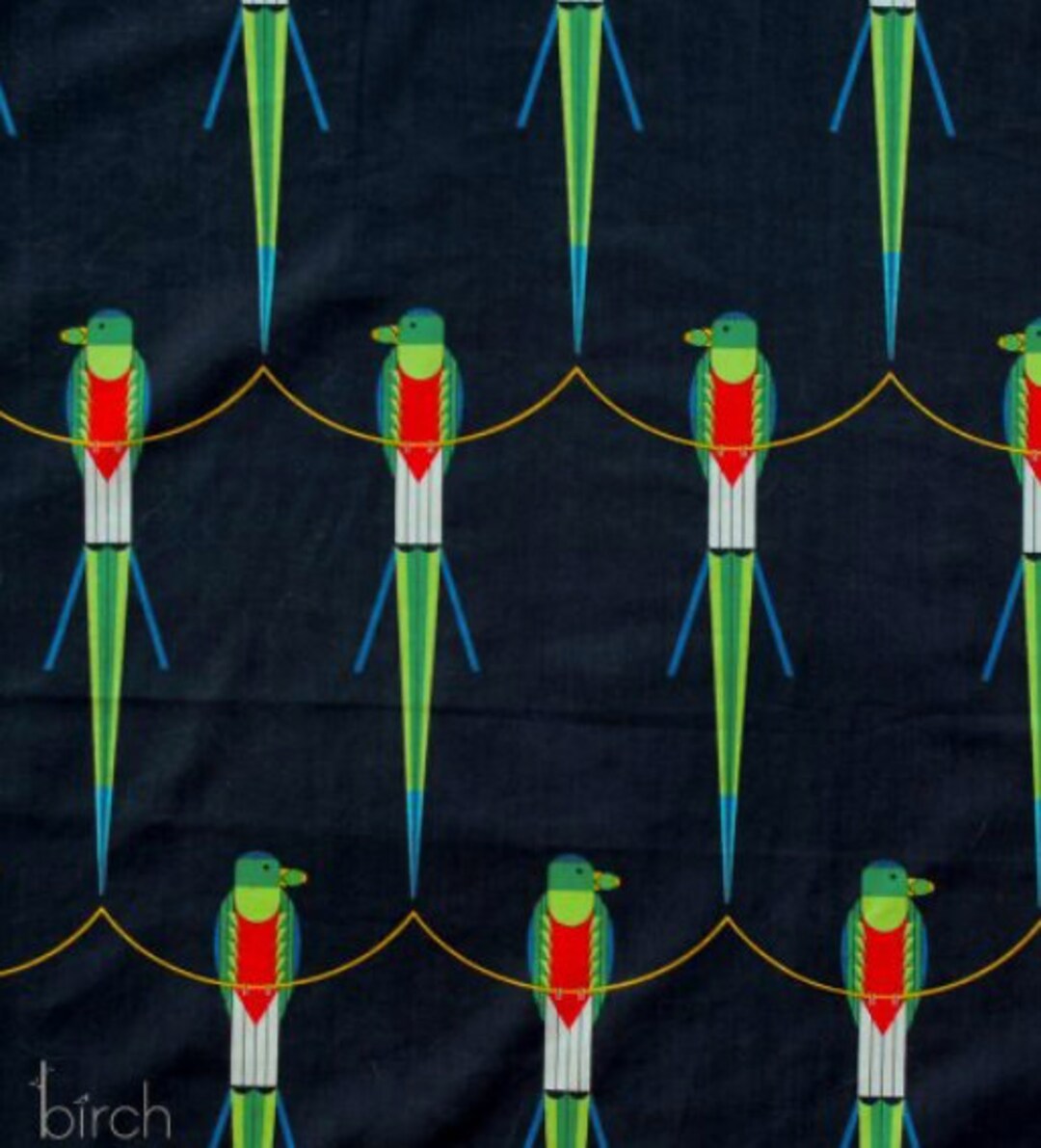 Monteverde, Parrot - Etsy