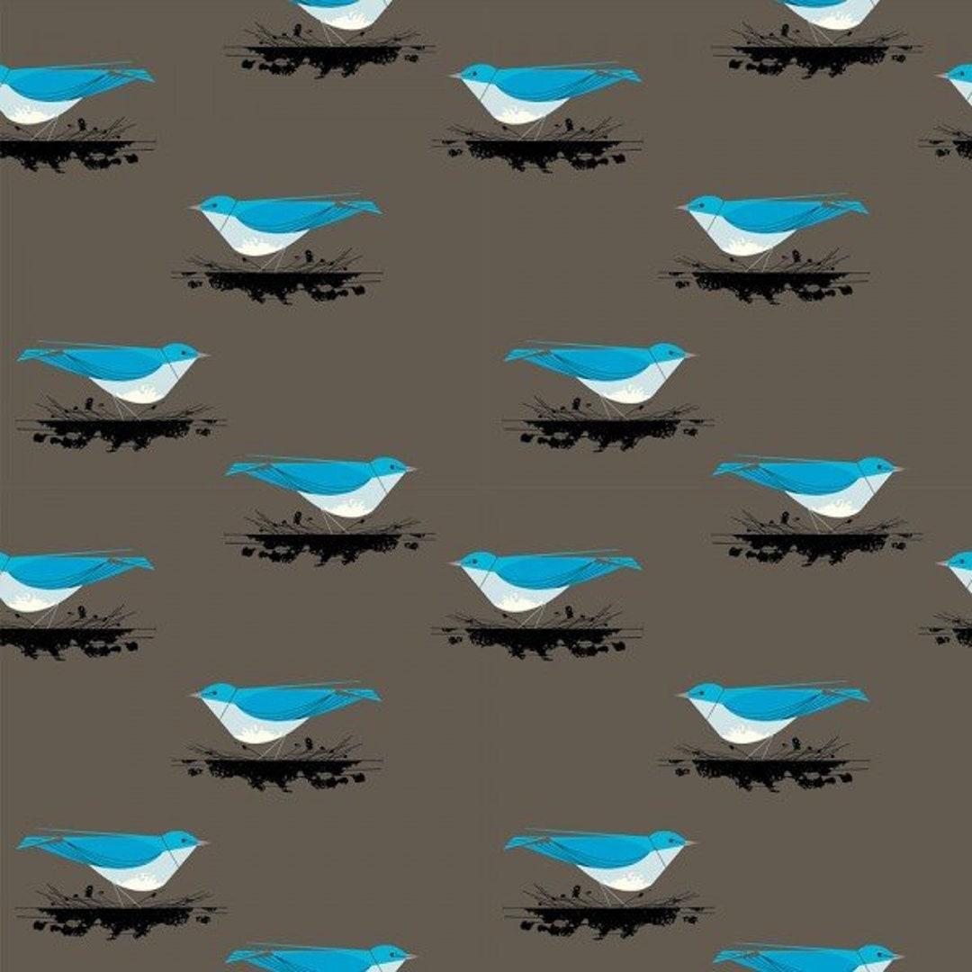 Western Birds, Mountain Blue Bird - Etsy