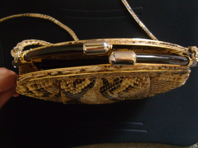 COLOMBETTI Milano Italy Wild Exotic Anaconda Python Snake Skin | Etsy