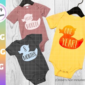 Baby 1-12 Monthly Duckling Milestone Stickers SVG PNG PJG Instant ...