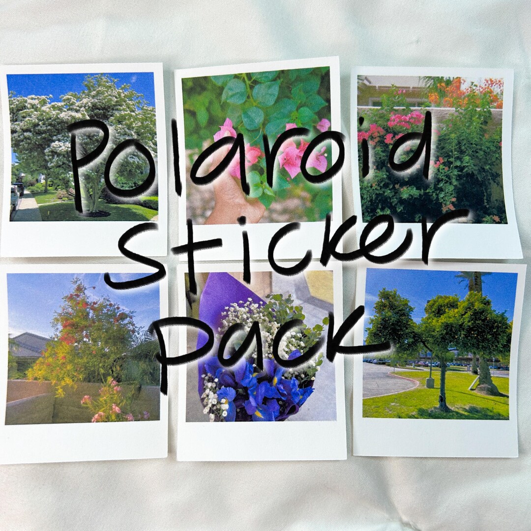 Polaroid Die Cut Sticker Pack | Writable Sticker | Journal Stickers - Etsy