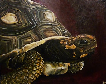 Hermann's Tortoise Print Watercolour.tortoise Art,tortoise Watercolour ...