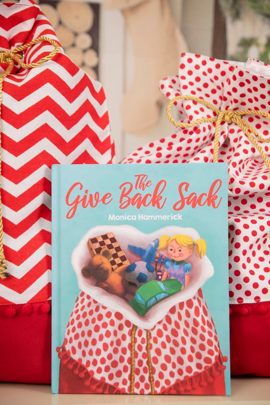 The Give Back Sack Storybook and Sack Set - Etsy