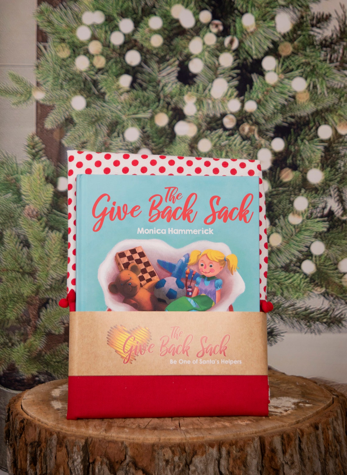 The Give Back Sack Storybook and Sack Set - Etsy