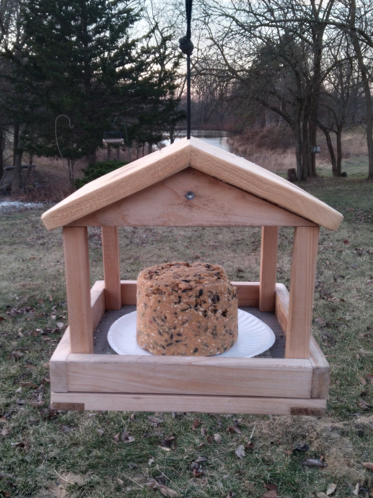 Suet High Energy Premium Blocks Homemade Nutty Bird Suet 3 - Etsy