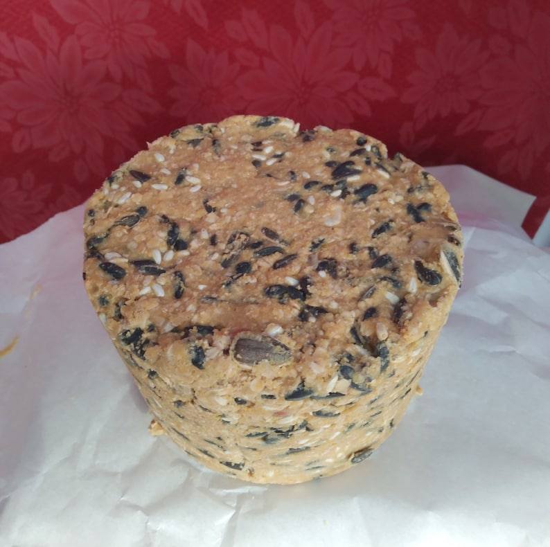 Suet High Energy Premium Blocks Homemade Nutty Bird Suet 3 - Etsy