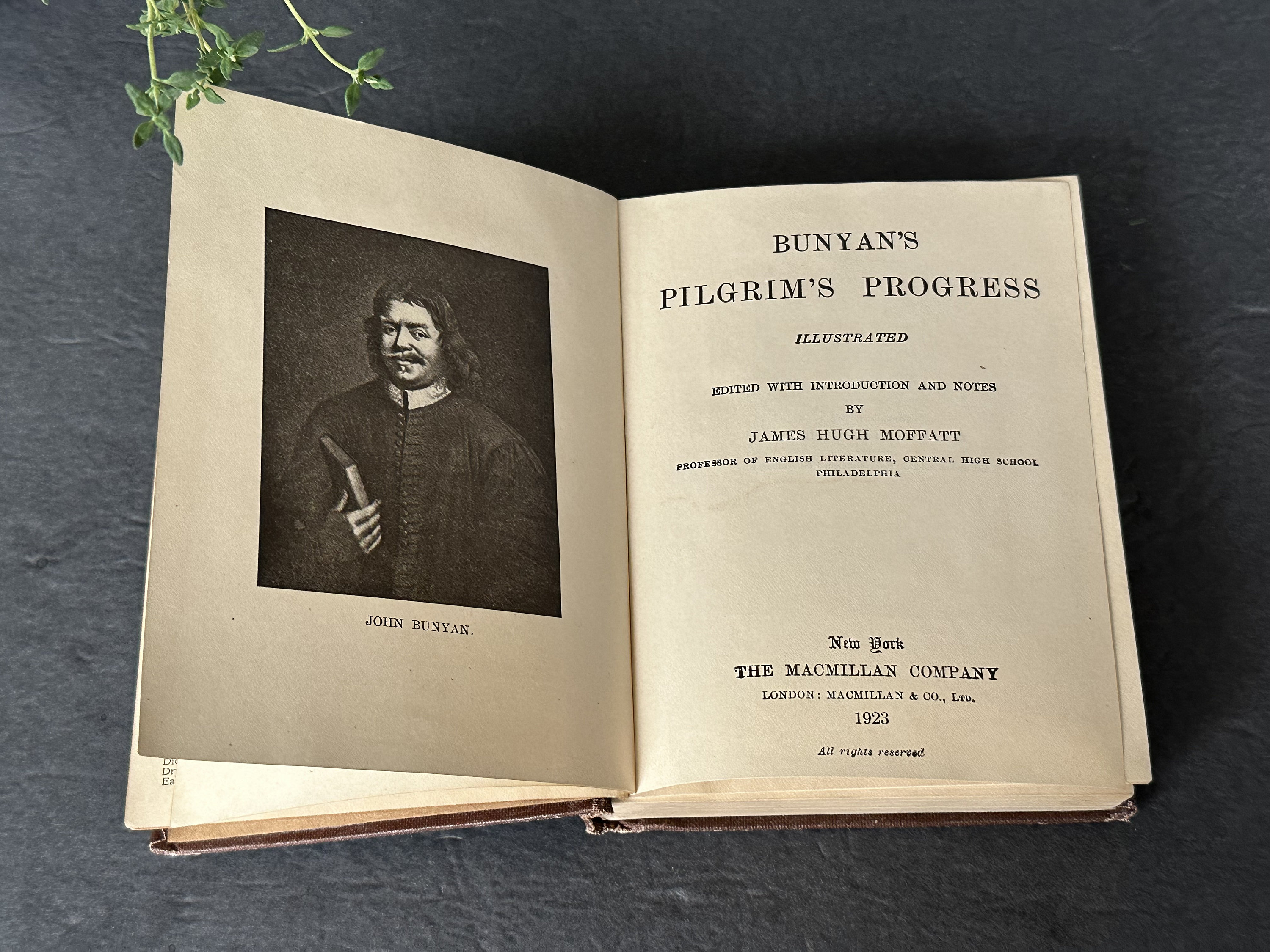 Antique Bunyan's Pilgrim's Progress, Illustrated With Introduction by ...
