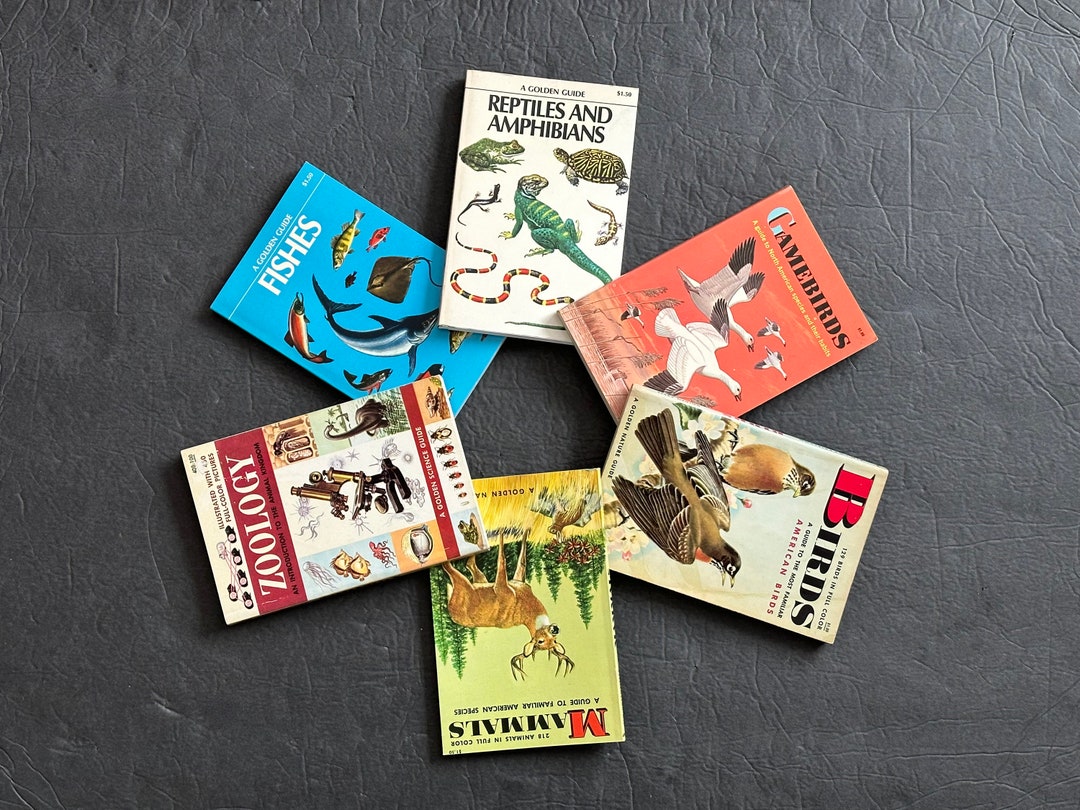 Vintage Golden Press Nature Book Guidebook Set for Rustic Cabin or ...