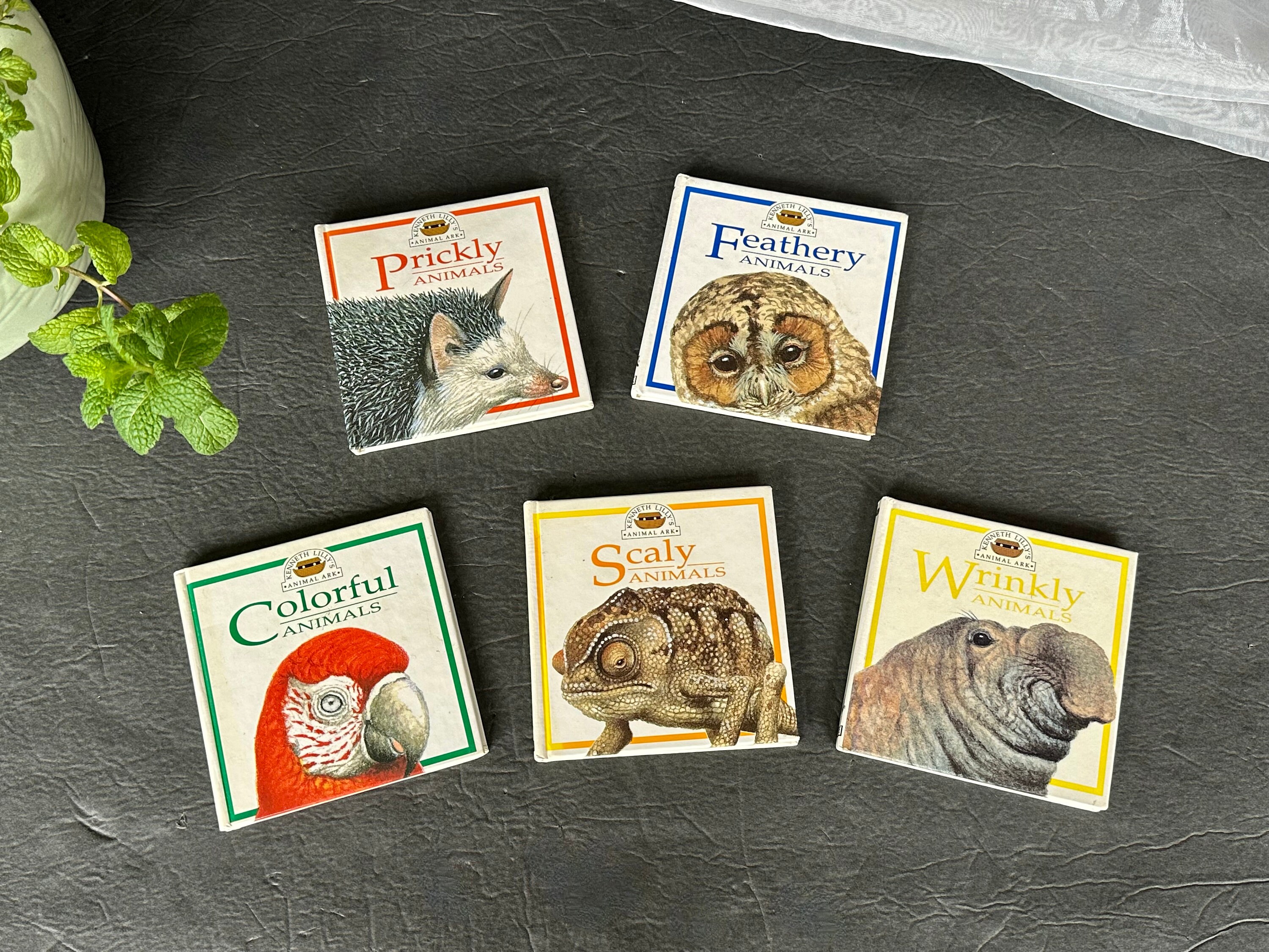 Vintage Children's Book Set Room Decor Kenneth Lilly's Animal Ark Colorful Feathery Prickly ...