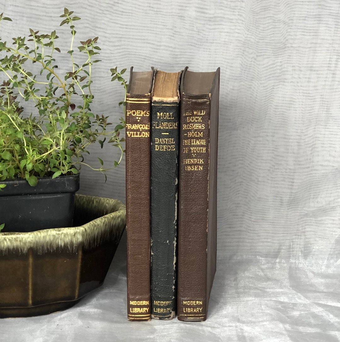 Vintage 1920s Modern Library Book Set for Home Library Office Shelf ...
