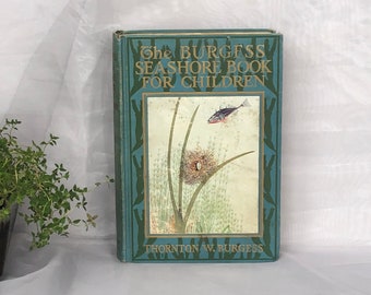 Book House Shelf - Etsy