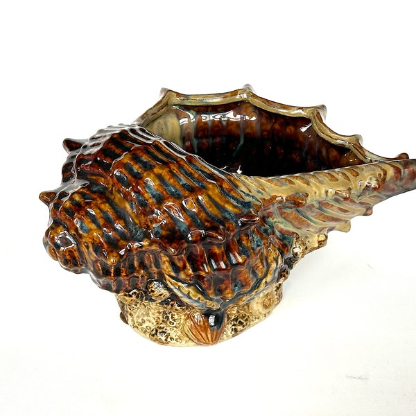 Conch Shell Planter - Etsy